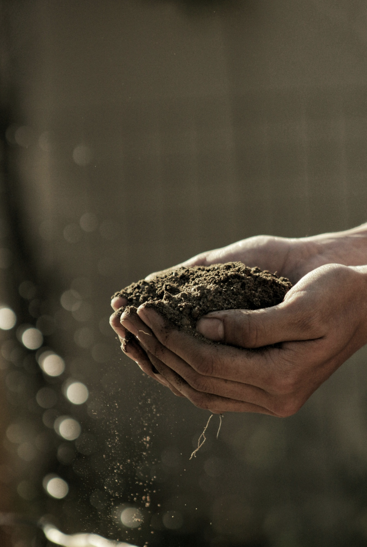 NACO Conference in Washington, D.C. and Agriculture - Allison Miedema
